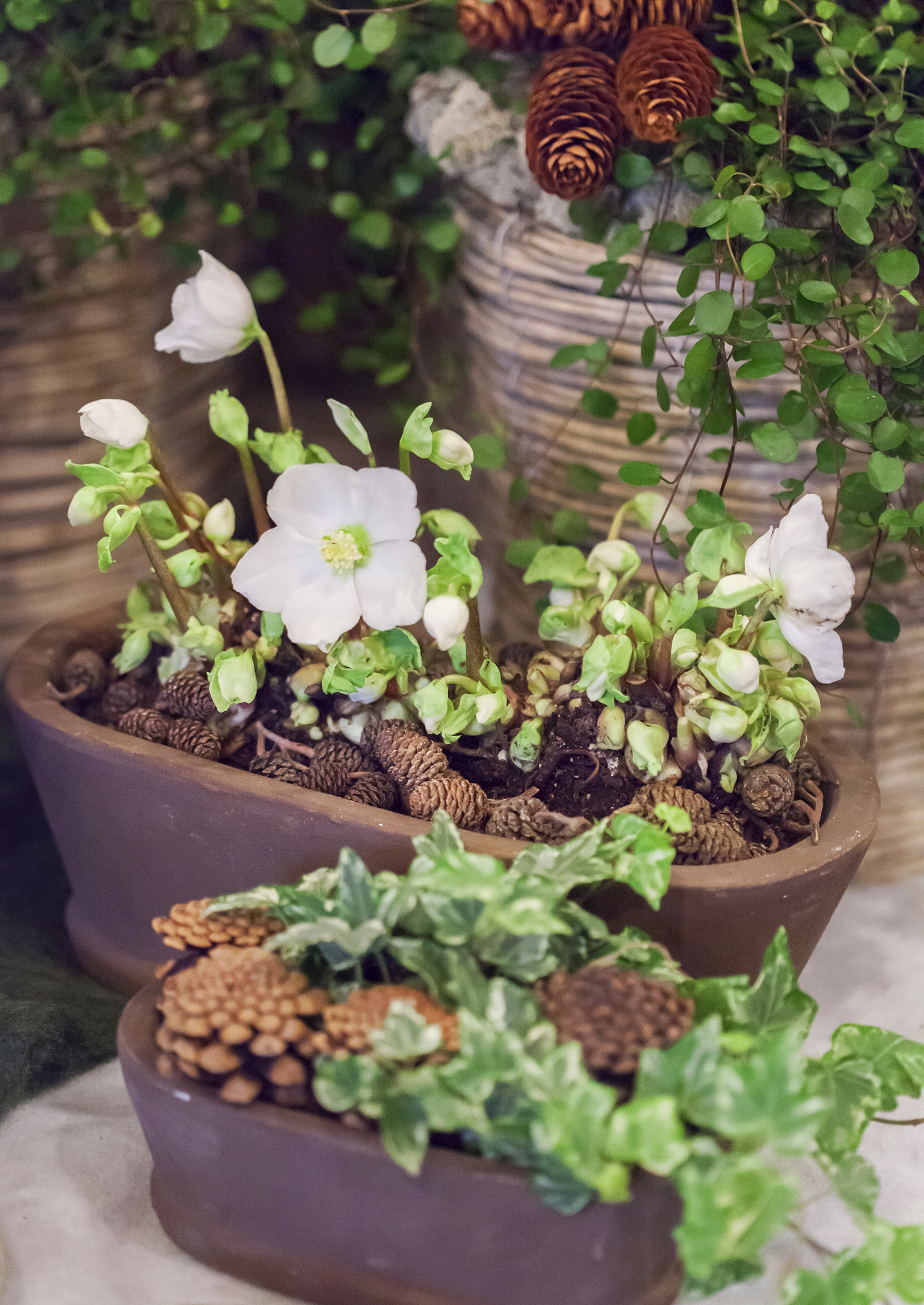 11 x kaunis joulukukka-asetelma – katso ideat! | Meillä kotona