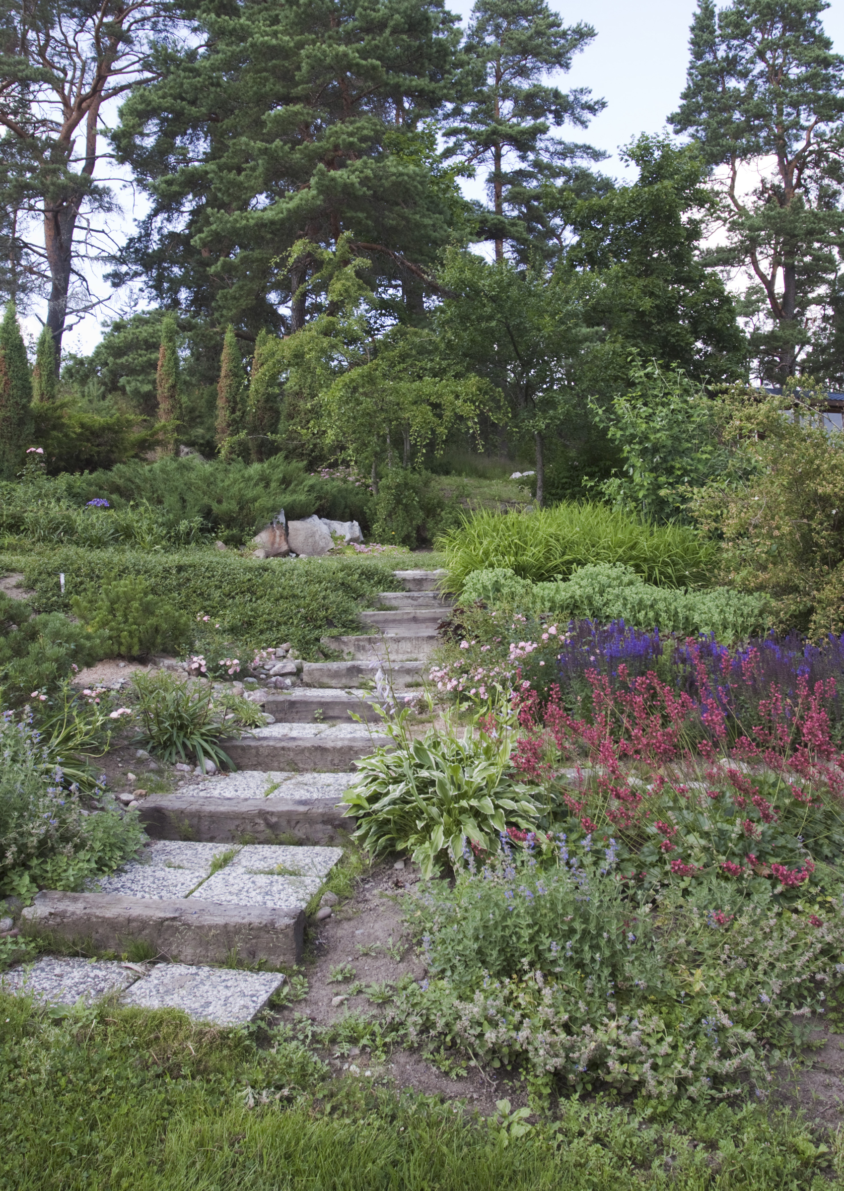 Suunnittele kaunis rinnepiha – 7 ideaa | Meillä kotona